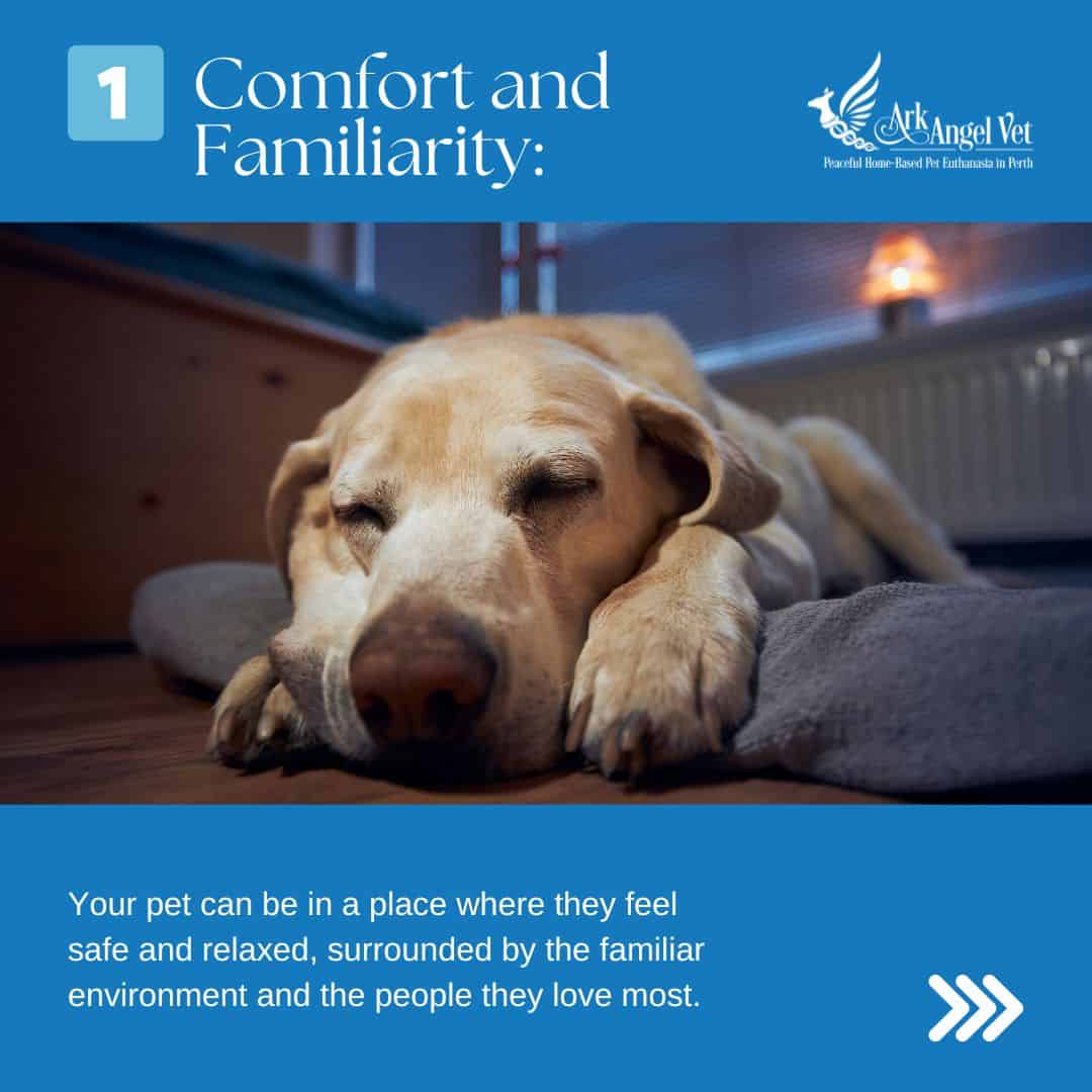 Why choose at-home pet euthanasia? • Ark Angel Vet